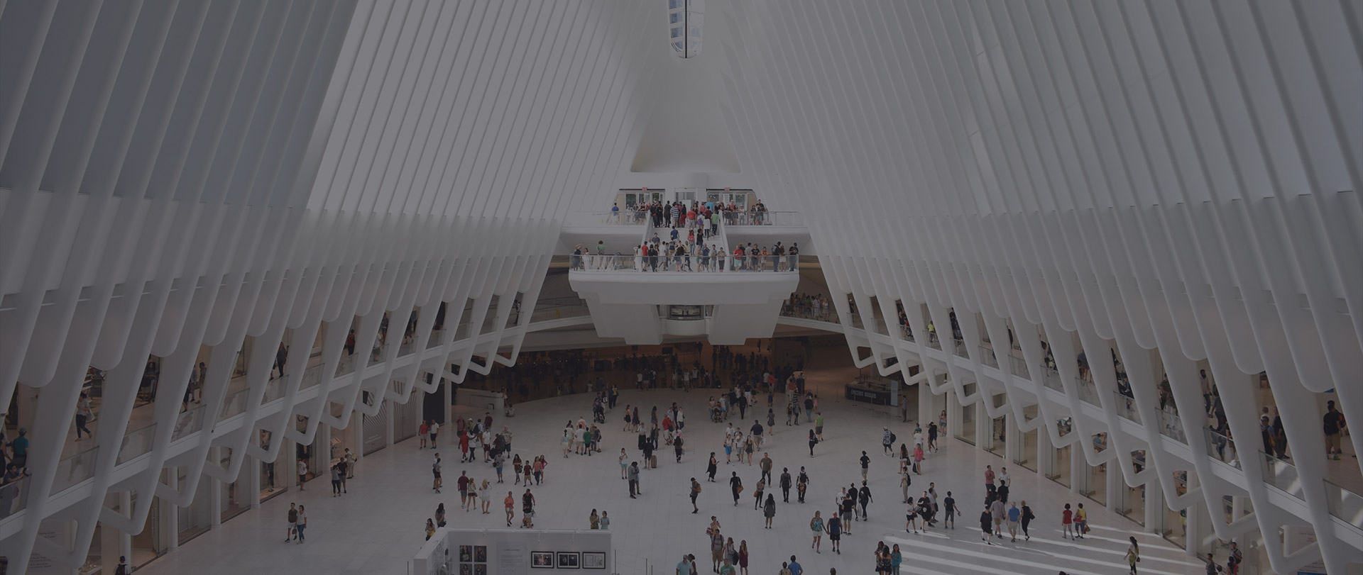 Primaria Vanatori - Galati - Primaria Vanatori