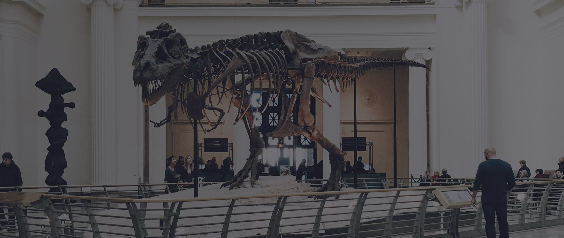 Primaria Vanatori - Galati - Primaria Vanatori